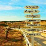 San Diego to Temecula: Wine Country Tour & Historic Old Town - The Experience: What You Can Expect