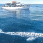 San Diego Whale Watching Tour - FAQs