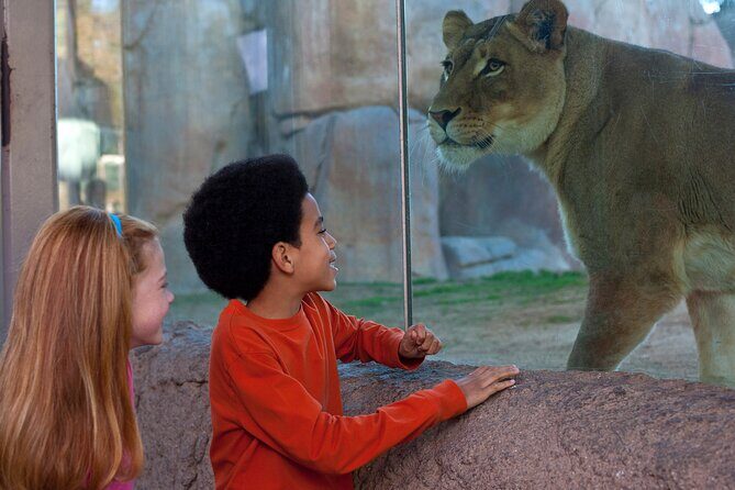 San Diego Zoo Safari Park 1-Day Pass: Any Day Ticket - Itinerary Breakdown: What to Expect During Your Day