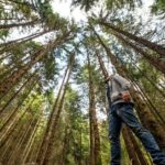 San Francisco Alcatraz Island and Guided Muir Woods Tour - Who Will Love This Tour?