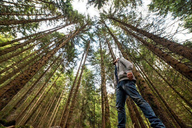 San Francisco Alcatraz Island and Guided Muir Woods Tour - Who Will Love This Tour?