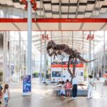 San Francisco: California Academy of Sciences Entry Ticket - The Heart of the Experience: A Full Day of Discovery