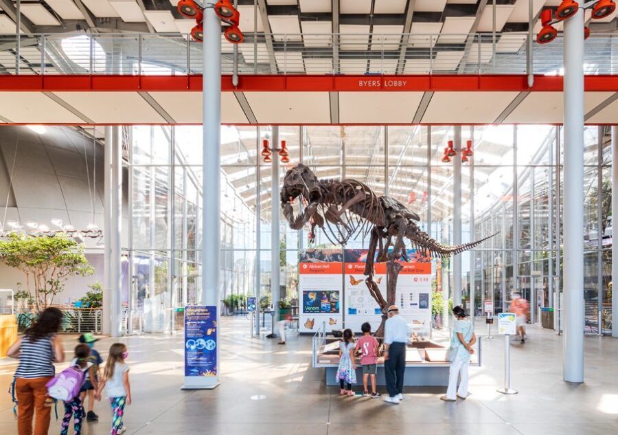 San Francisco: California Academy of Sciences Entry Ticket - The Heart of the Experience: A Full Day of Discovery
