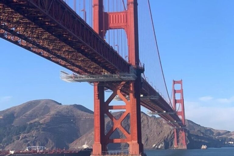 San Francisco : Chinatown Walking Tour With A Guide - Experience Highlights and What to Expect