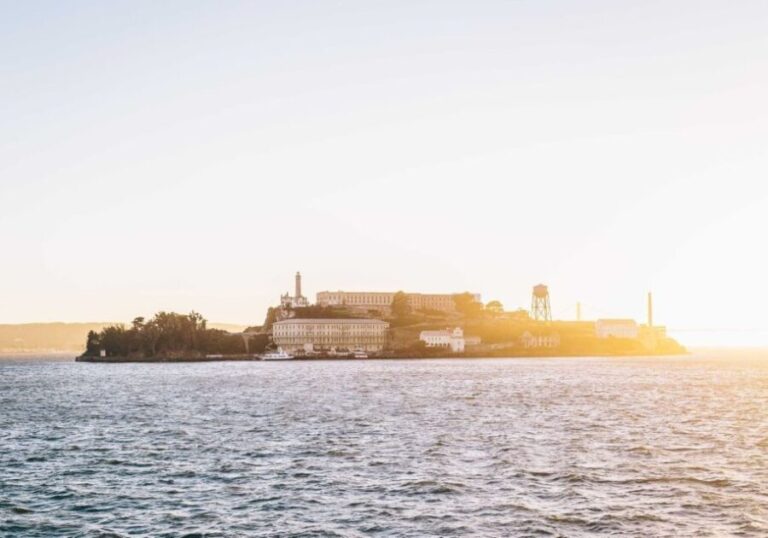 San Francisco: Christmas Day Buffet Brunch or Dinner Cruise - Who Will Love This Experience?