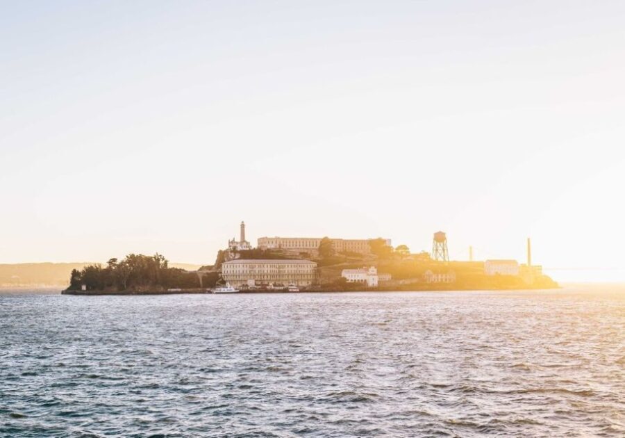 San Francisco: Christmas Day Buffet Brunch or Dinner Cruise - Who Will Love This Experience?