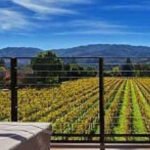 San Francisco: Francis Ford Coppola Winery Private Tour - The Highlights of the Tour
