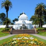 San Francisco Golden Gate Park Tour - Authentic Insights from Past Participants