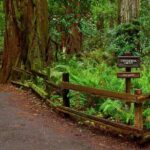 San Francisco, Golden Gate, Sausalito and Muir Woods Private Tour - Who Will Love This Tour?