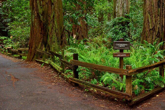 San Francisco, Golden Gate, Sausalito and Muir Woods Private Tour - Who Will Love This Tour?