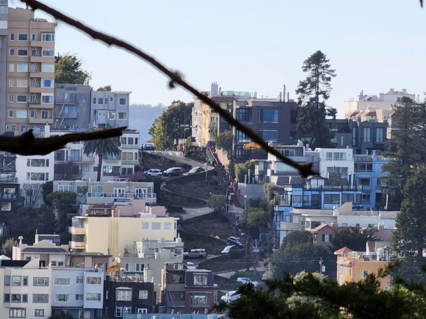San Francisco: Guided Half-Day Group City Tour - What Travelers Say & Why It Matters