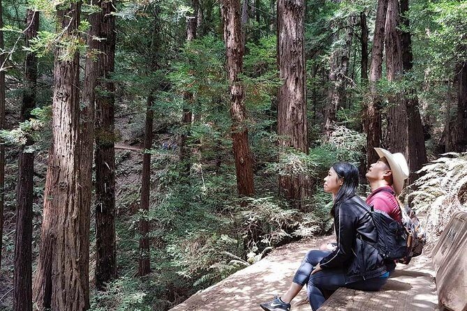 San Francisco: Guided Tour of Coastal Redwoods & Wine Country - The Bottom Line: Is It Worth It?
