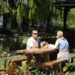 San Francisco: Half-Day Wine Country Tour with Wine Tastings - The Value Proposition