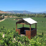 San Francisco: Half-Day Wine Tour with 2 Tastings Included - The Quality of the Experience