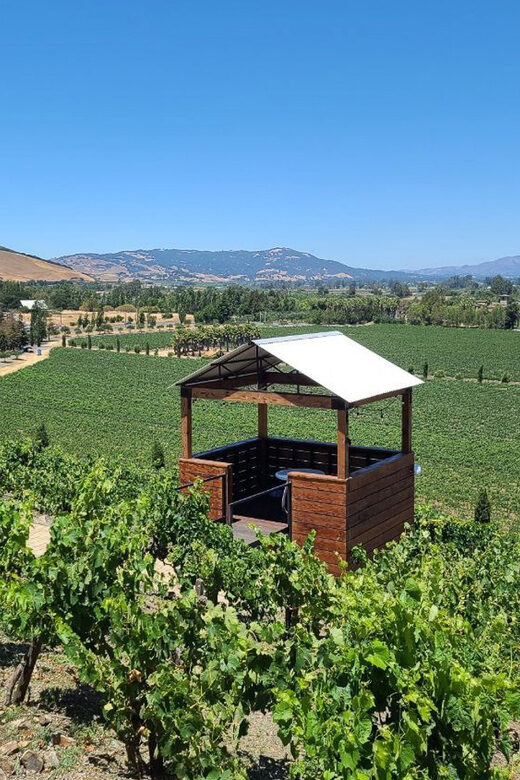 San Francisco: Half-Day Wine Tour with 2 Tastings Included - The Quality of the Experience