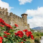 San Francisco: Luxury Small-Group Wine Tour of Napa Valley - Who Will Love This Tour?