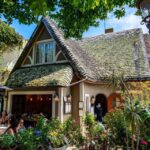 San Francisco: Monterey and Carmel Tour - The Experience: What You Can Expect