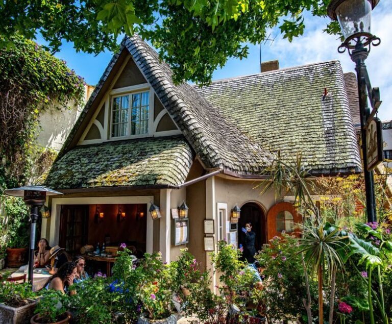 San Francisco: Monterey and Carmel Tour - The Experience: What You Can Expect
