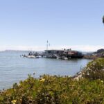 San Francisco: Muir Woods and Sausalito Entry Fee Included - What Makes This Tour Stand Out