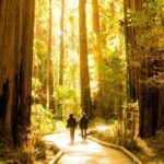 San Francisco: Muir Woods and Sausalito Experience - The Itinerary in Detail