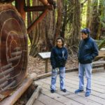 San Francisco: Muir Woods, Sausalito and SF Bay Cruise - Who Should Consider This Tour?