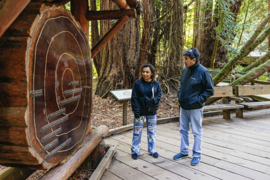 San Francisco: Muir Woods, Sausalito and SF Bay Cruise - Who Should Consider This Tour?