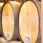San Francisco: Muir Woods, Sausalito, and Sonoma Wine Tour - Practical Insights and Value