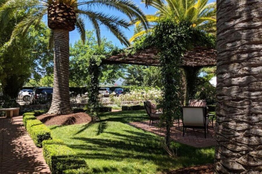 San Francisco: Napa and Sonoma Valley Private Wine Tour - What Makes This Tour Stand Out?