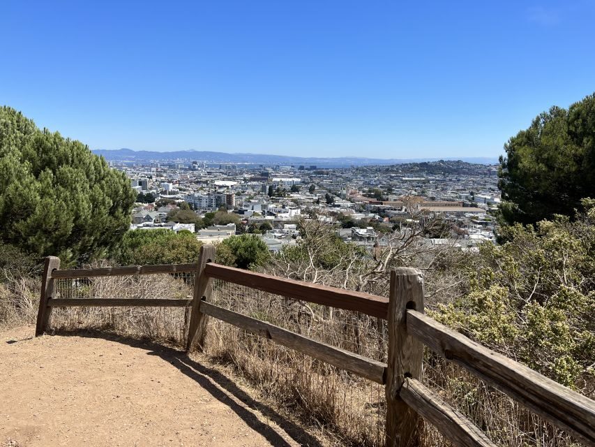San Francisco: Neighborhood Walking Tour - 6 Route Options - What to Expect on the Tour