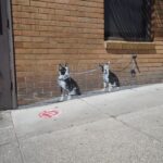 San Francisco: North Beach Food and History Walking Tour - What’s Included and What You Should Know