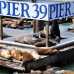 San Francisco Pier 39 Puzzling Adventure - Why We Recommend This Experience