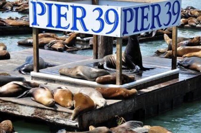San Francisco Pier 39 Puzzling Adventure - Why We Recommend This Experience