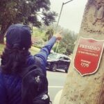 San Francisco Presidio Walking Tour - The Experience: What You Can Expect