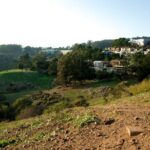 San Francisco's Glen Park and Glen Canyon: A Self-Guided Tour - A Walk Through Glen Park’s Village and Beyond