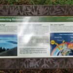 San Fransico: Muir Woods & Marin Headlands Private Tour - Is This Tour Worth the Cost?