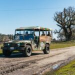 San Luis Obispo: Santa Lucia Guided Nature Tour - Detailed Breakdown of the Itinerary and Highlights