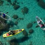 Sand Harbor Clear Kayak Tour of Lake Tahoe - Authentic Experiences and Authentic Feedback