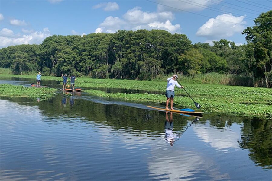 Sanford: Guided SUP or Kayak Manatee-Watching Tour - What Makes This Tour Valuable