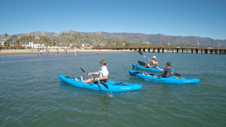 Santa Barbara: 1.5-Hour Harbor Kayak Tour - What Our Reviews Reveal