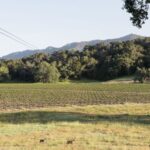 Santa Margarita: Zipline Adventure with 6 Different Ziplines - Why We Like This Tour: Highlights and Benefits