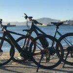 Santa Monica and Venice Beach Electric Bike Tour - What the Reviews Say
