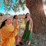 Santa Ynez: Private Wine Tour - The Experience from a Traveler’s Perspective