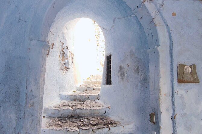 Santorini Essentials Half Day Private Sightseeing Tour - What Past Guests Say