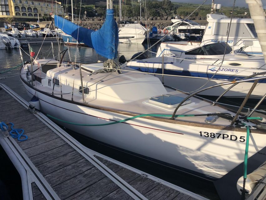 São Miguel: Island Highlights Private Tour by Boat and Van - Who Will Love This Tour?