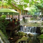 Sapanca Lake and Masukiye Tour - Analyzing the Value