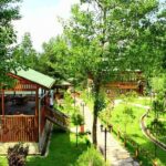 Sapanca Lake & Masukiye Tour From Istanbul - What’s the Real Value?