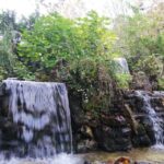 Sapanca & Masukiye Full-Day Tour with Lunch and Transfers - Final Thoughts