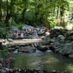 Sapanca Maukiye tour from Istanbul - The Itinerary in Detail