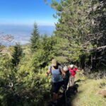 Sarajevo: Trebevi Mountain Summit Hiking Tour - The Itinerary in Detail