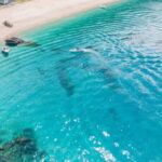 Saranda: Boat tour to 7 destinations including free umbrella - Who Will Love This Tour?